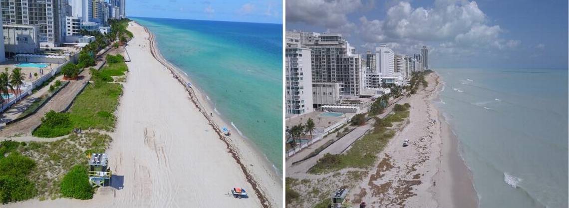 Miami-Dade Archives | Key Biscayne Citizen Scientist Project