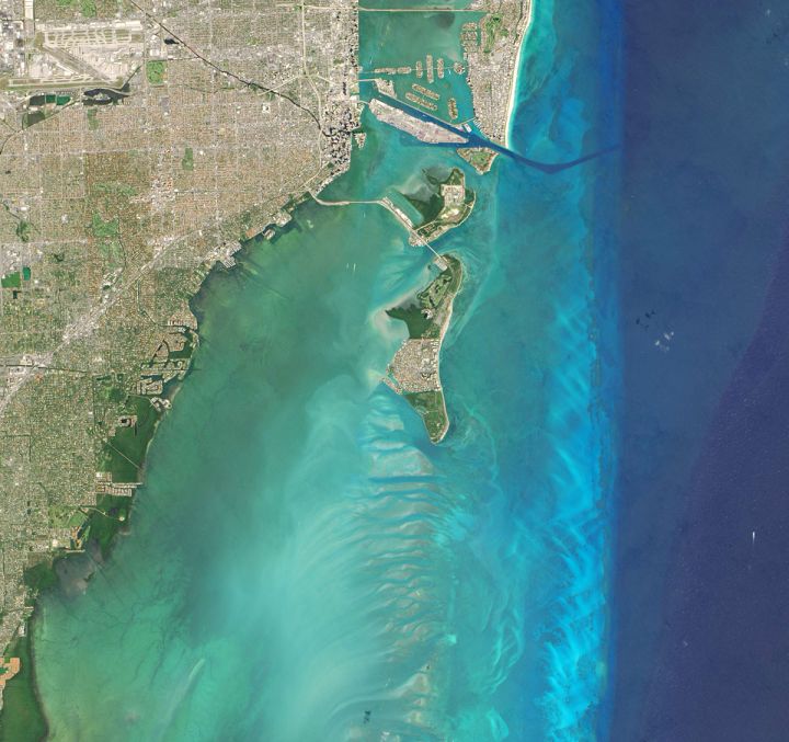 Pathogens Pose Risk at 185 of Florida beaches: Water Pollution Persists ...